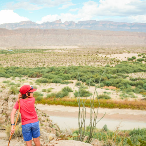 Virtual Field Trips: Tips for Toddlers & Preschoolers | Local Passport ...