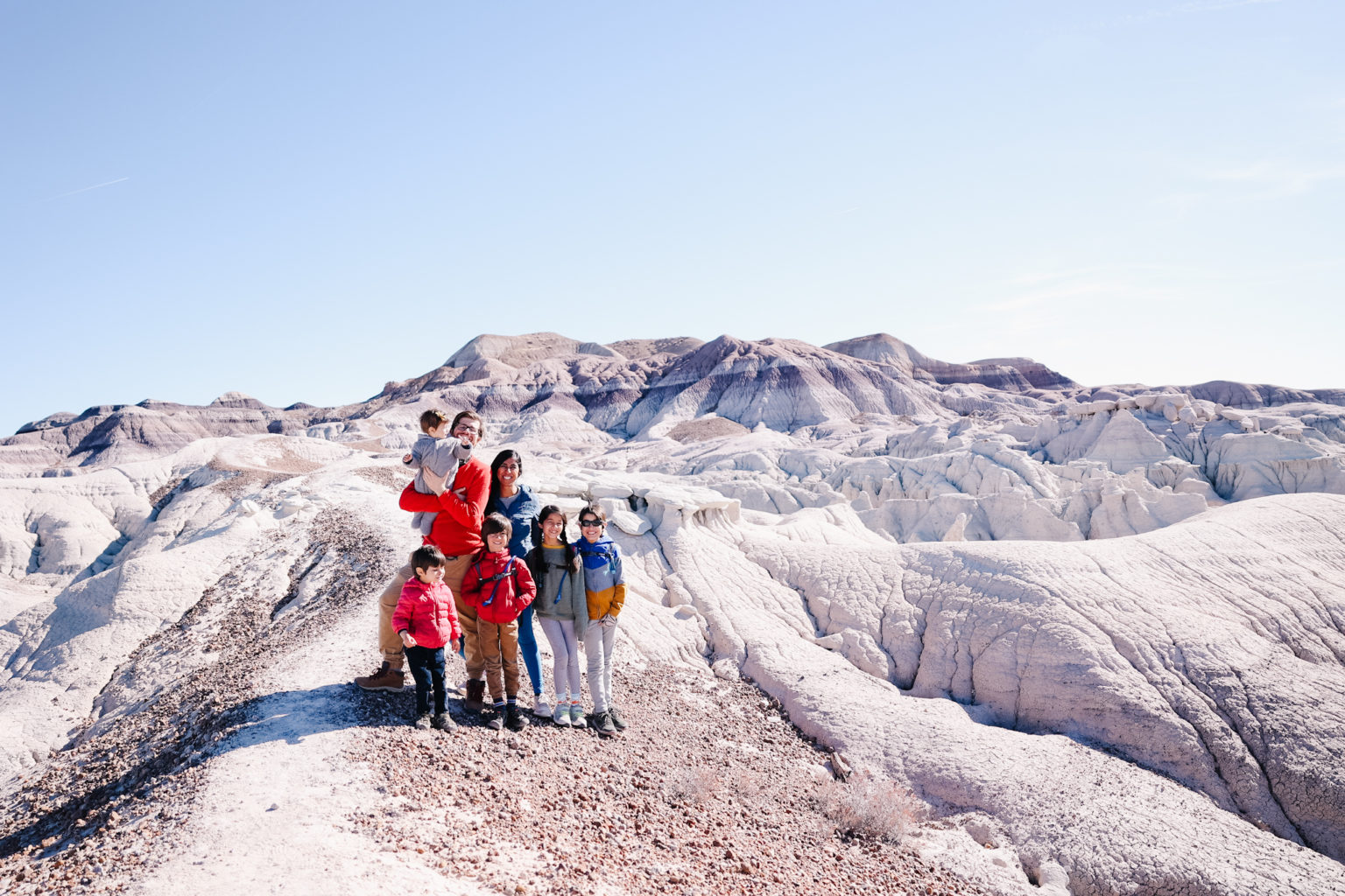Ultimate Family Guide to Petrified Forest: Best Petrified Forest ...