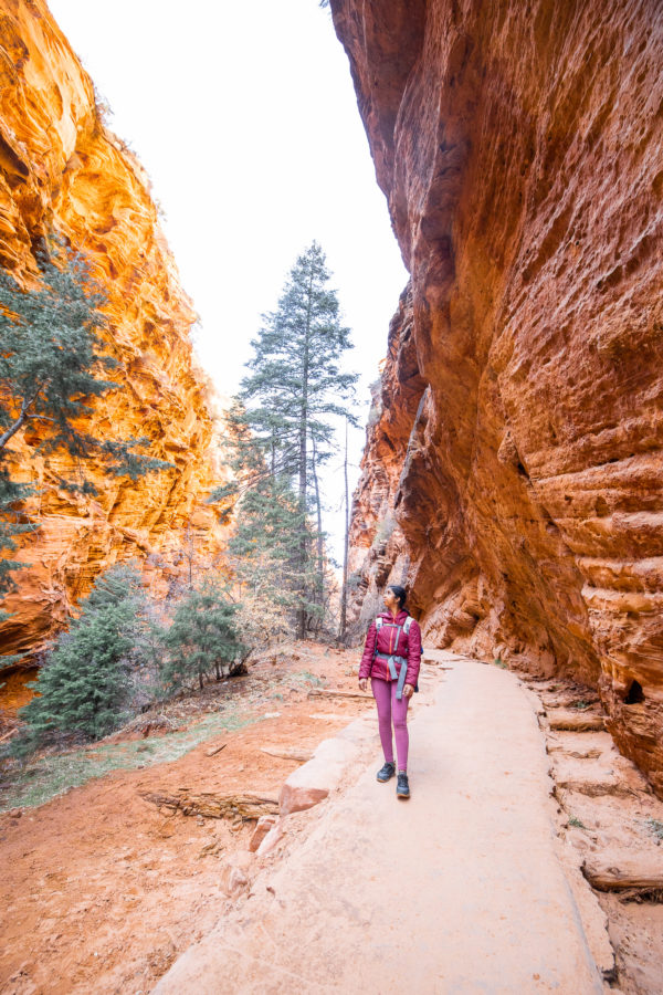 Hiking Angels Landing with Kids (+ Scout Lookout Zion National Park ...