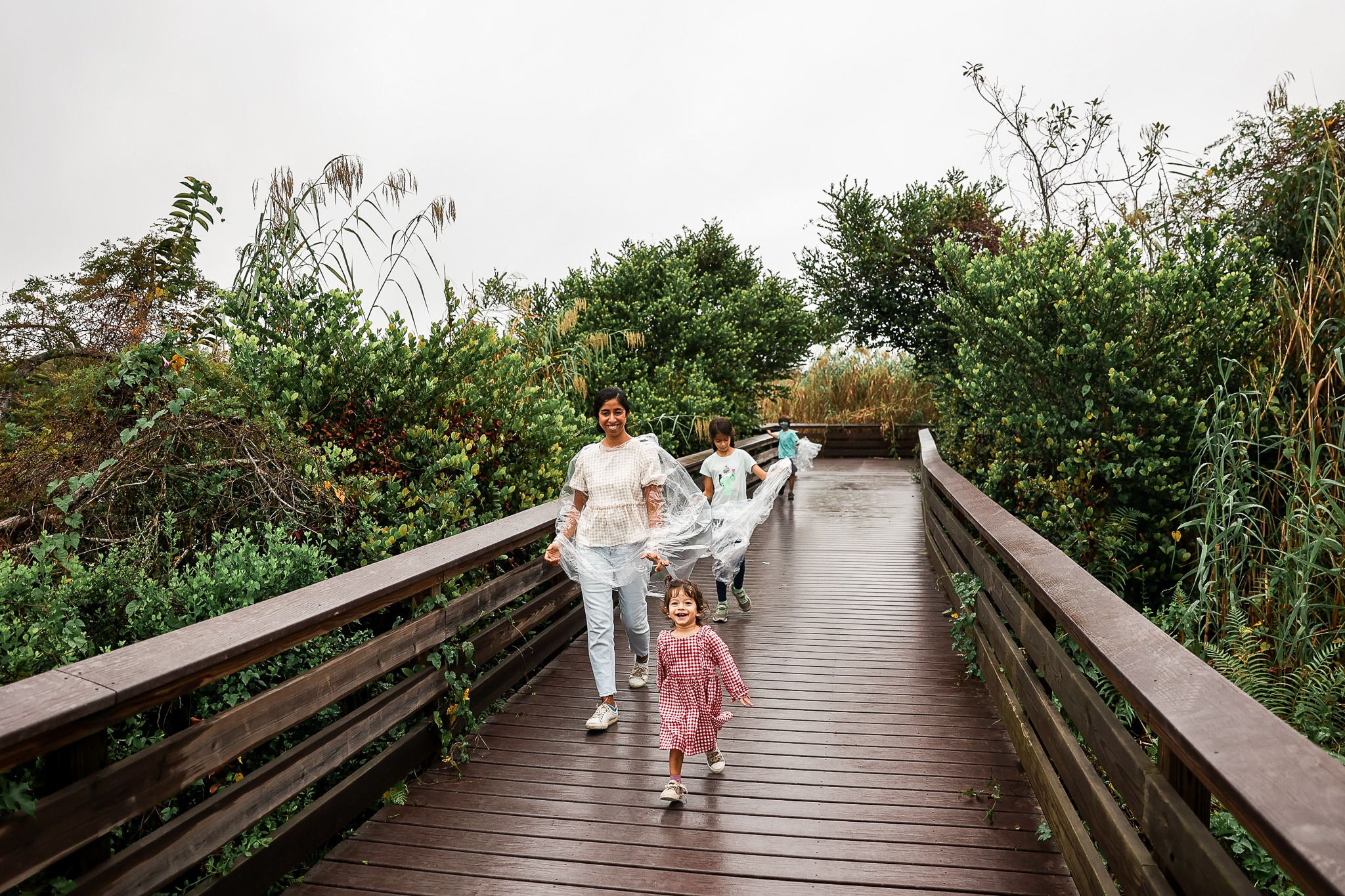 Best Hikes in the Everglades: Amazing & Short Everglades Trails | Local ...